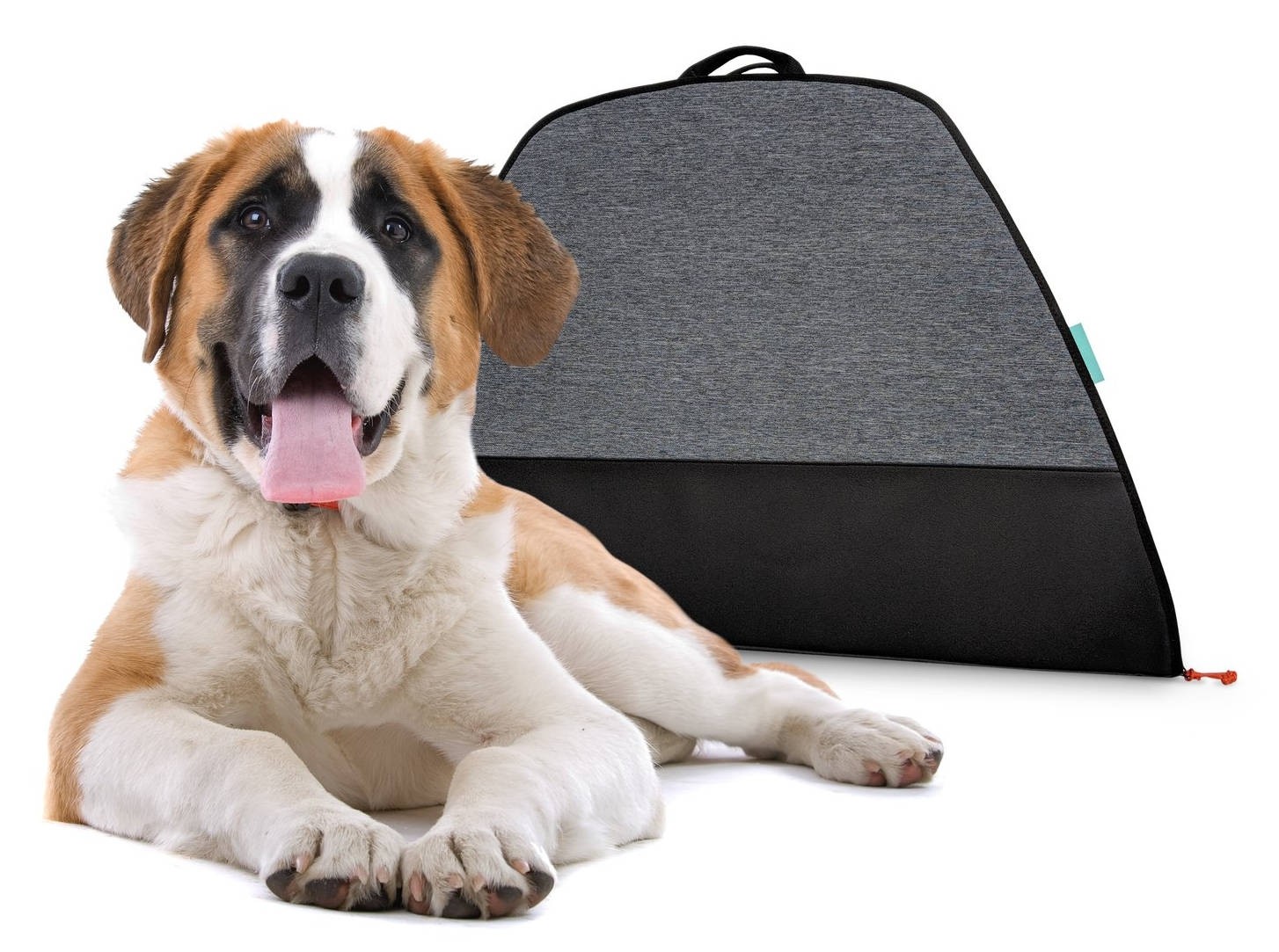 Spruce Travel Dog Bed